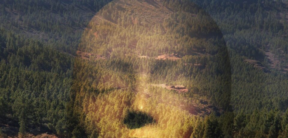 Romanian Mythology: Exploring the Rich Tapestry of Romanian Folklore ...