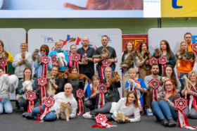 Romanian Mythology: Exploring the Rich Tapestry of Romanian Folklore ...